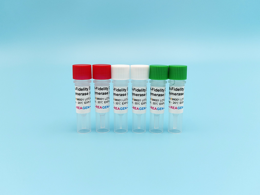 High Accuracy Tag DNA Polymerase 25 Minute Amplification Time for ...