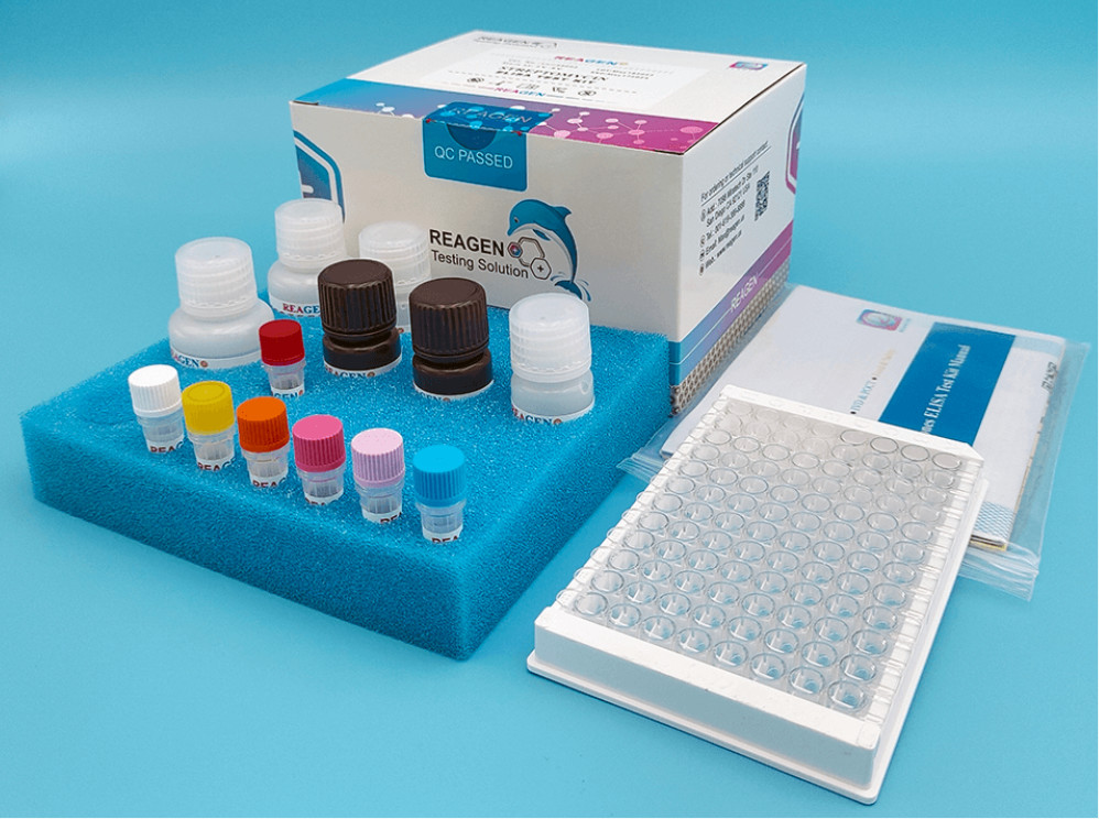 96 Test Aflatoxin M1 Mycotoxin ELISA Kit For Milk