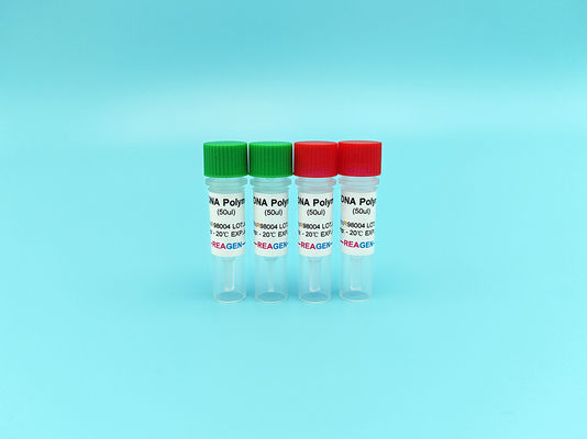 KOD DNA Polymerase 95% Sensitivity -30 -15C Storage Reagent for ...