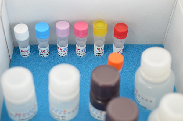 High Sensitivity Zilpaterol ELISA Test Kit